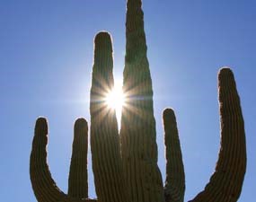 Frequently Asked Questions - Saguaro National Park (U.S. National Park ...