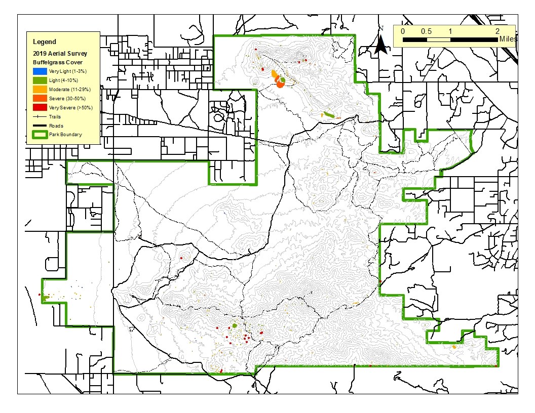 What Actions Are Being Taken - Saguaro National Park (U.S. National ...