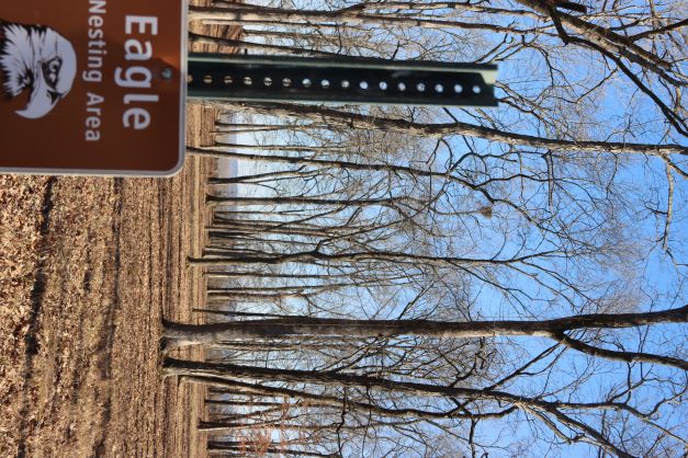 Restricted Access to Bald Eagle Nesting Area - Shiloh National Military ...