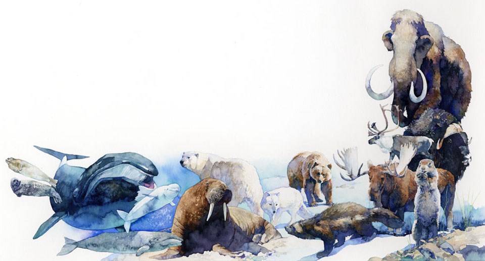 Publications - Beringia (U.S. National Park Service)