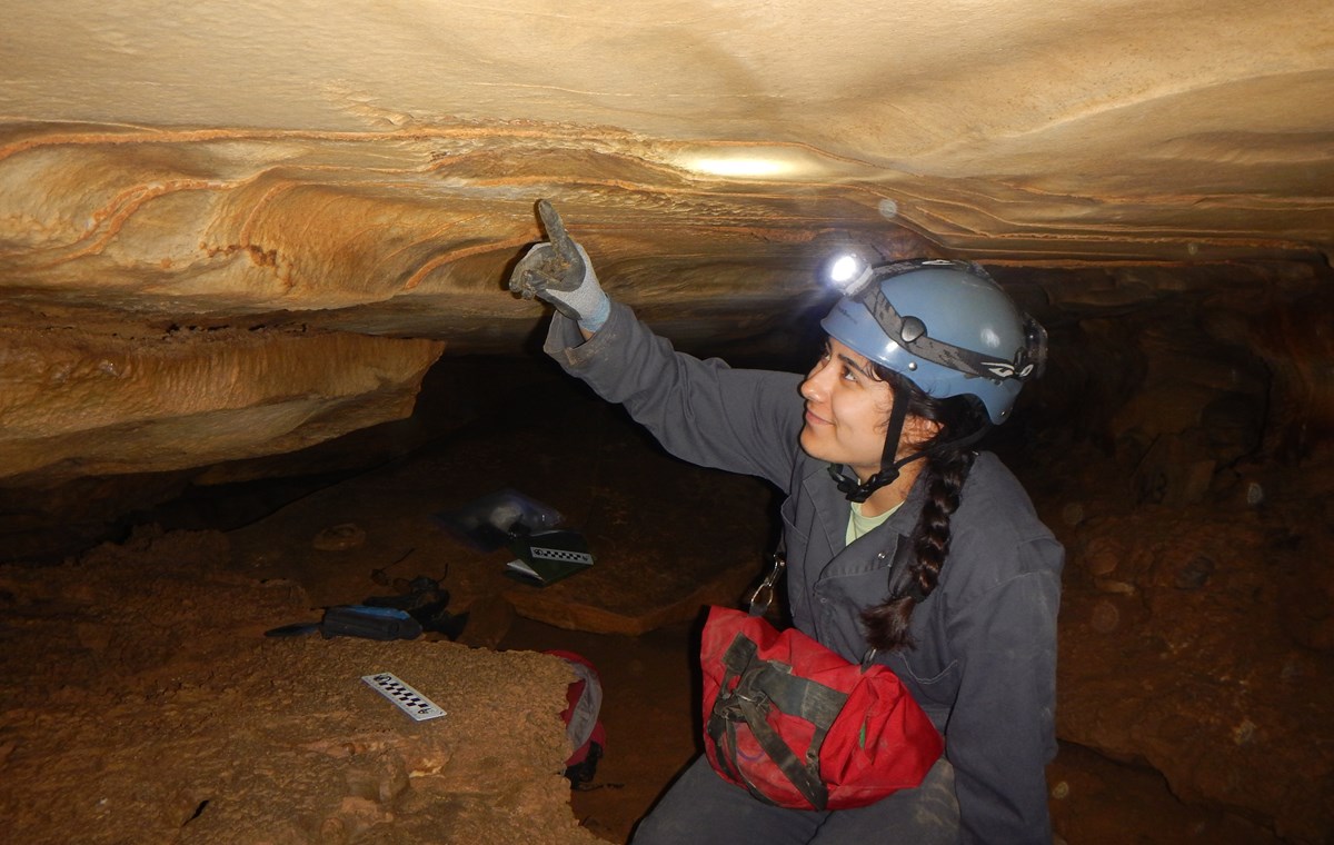 Cave Paleontology - Fossils and Paleontology (U.S. National Park Service)