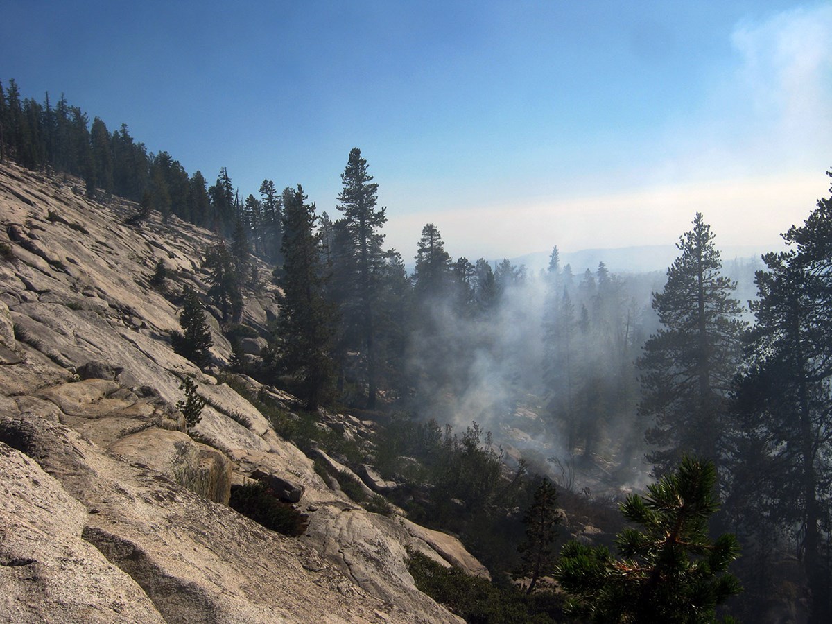 Cascade Fire: Right Fire, Right Place, Right Time (U.S. National Park ...