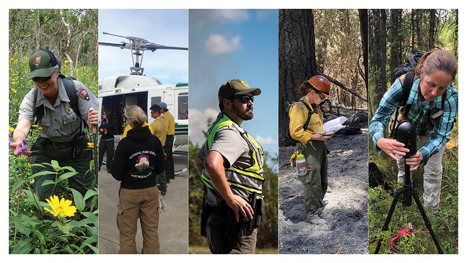 People in Wildland Fire - Fire (U.S. National Park Service)