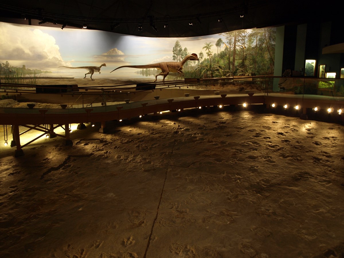 Jurassic Neighbors - Fossils and Paleontology (U.S. National Park Service)