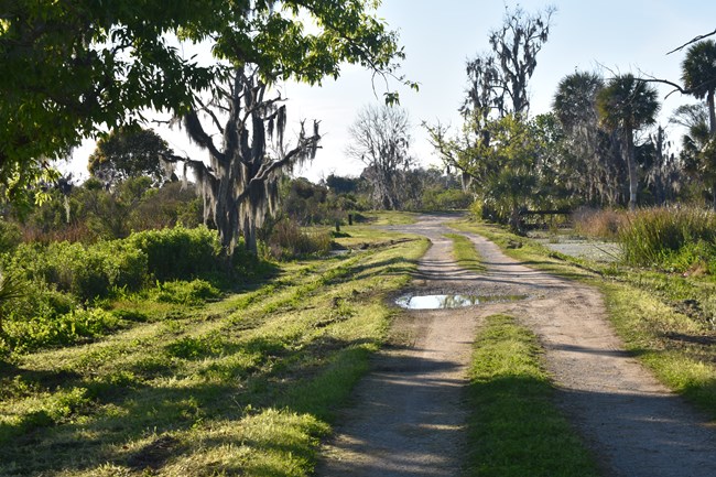 Even God Wept: Gullah Geechee NHA Remembers The Weeping Time (U.S ...