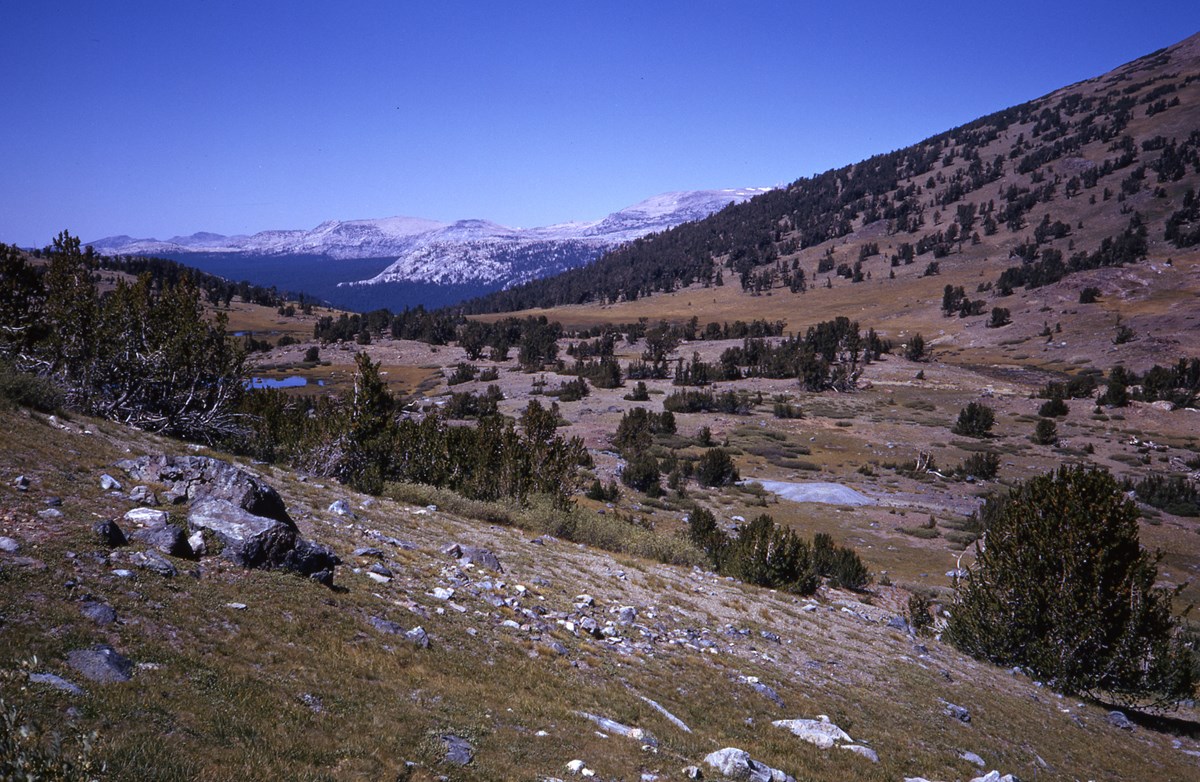 Episode 3: Laurel Munson Boyers - Oral History (U.S. National Park Service)