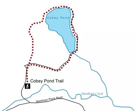 Hike the Cobey Pond Trail (U.S. National Park Service)