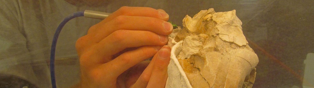 Fossil Preparation Lab (U.S. National Park Service)