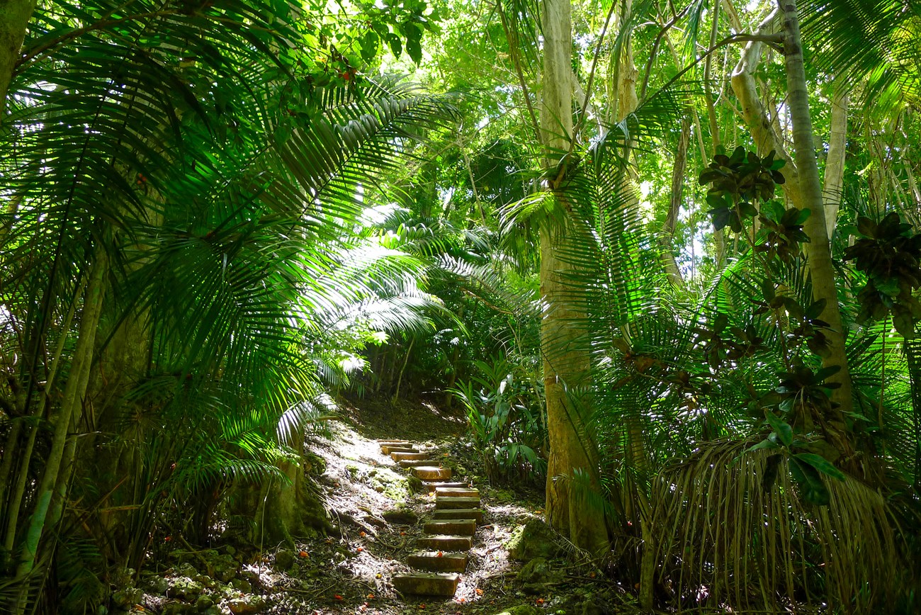 Piti Guns Trail - War In The Pacific National Historical Park (U.S ...