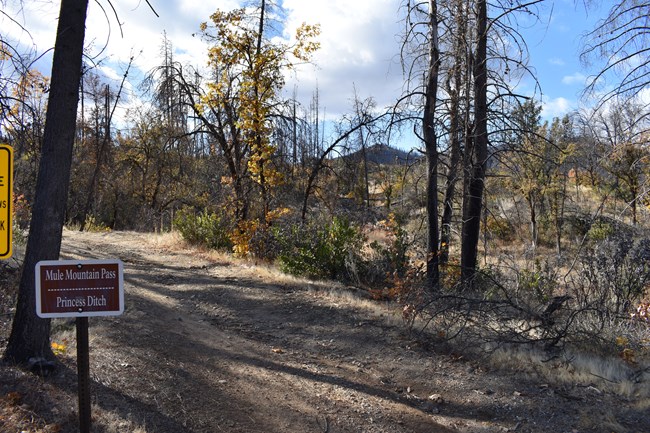 East Side Trails - Whiskeytown National Recreation Area (U.S. National ...