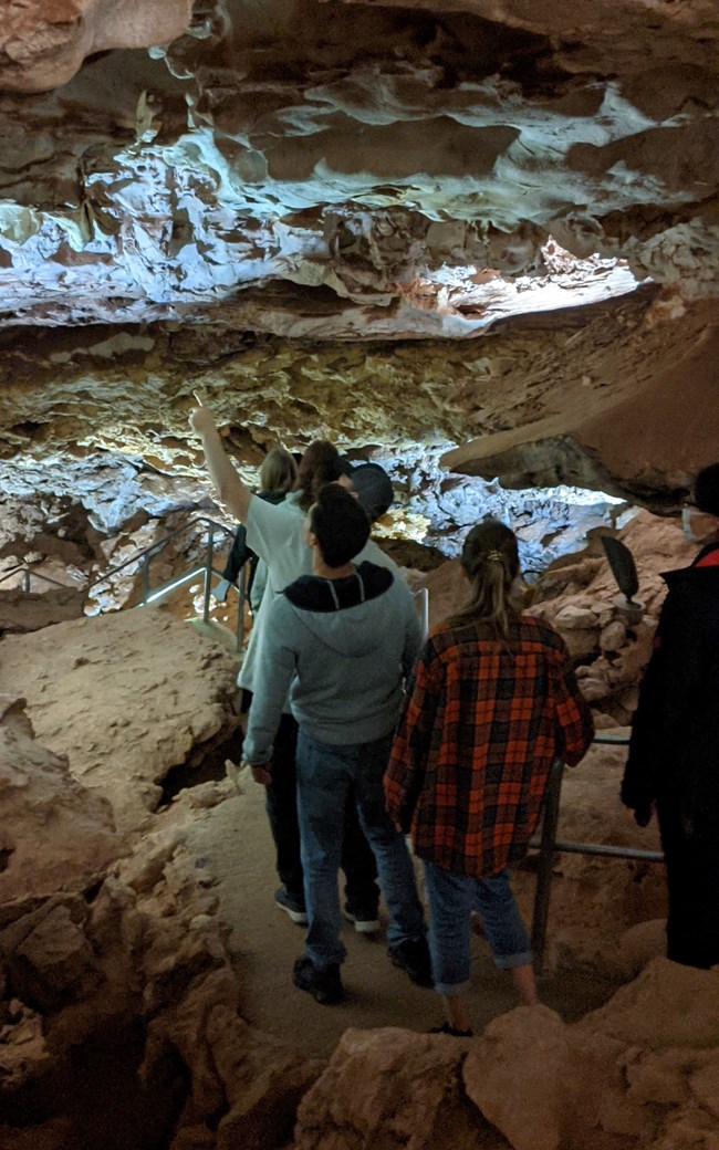 Guided Tours - Wind Cave National Park (U.S. National Park Service)