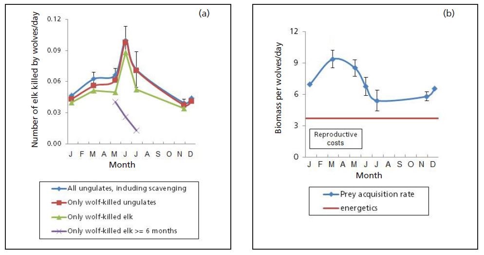 YS 24-1 Temporal Variation in Wolf Predation Dynamics in Yellowstone ...