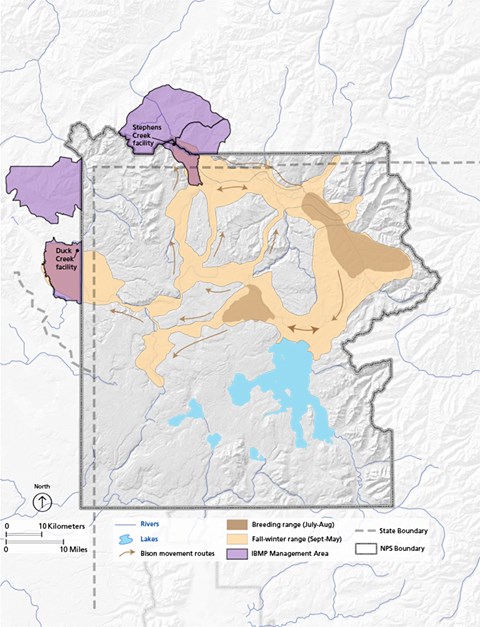 Yellowstone Bison - Yellowstone National Park (U.S. National Park Service)