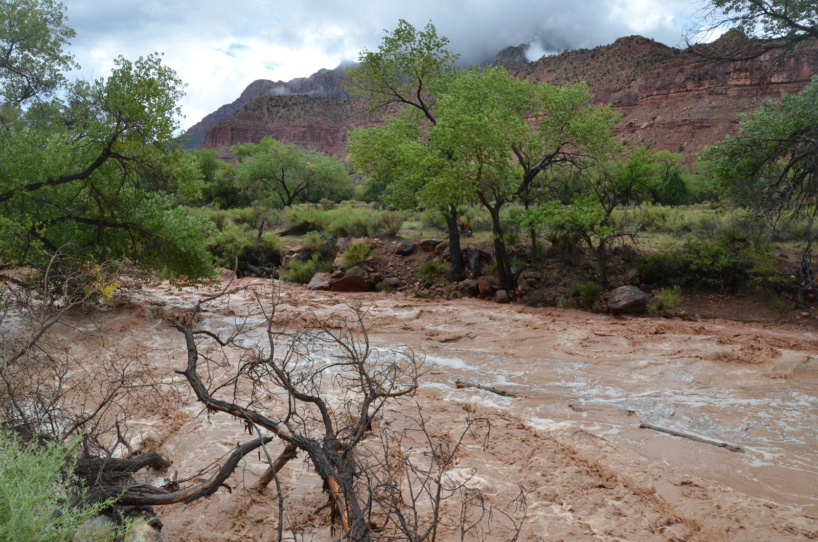 Zion Fully Reopens Following Major Flooding Event - Zion National Park ...